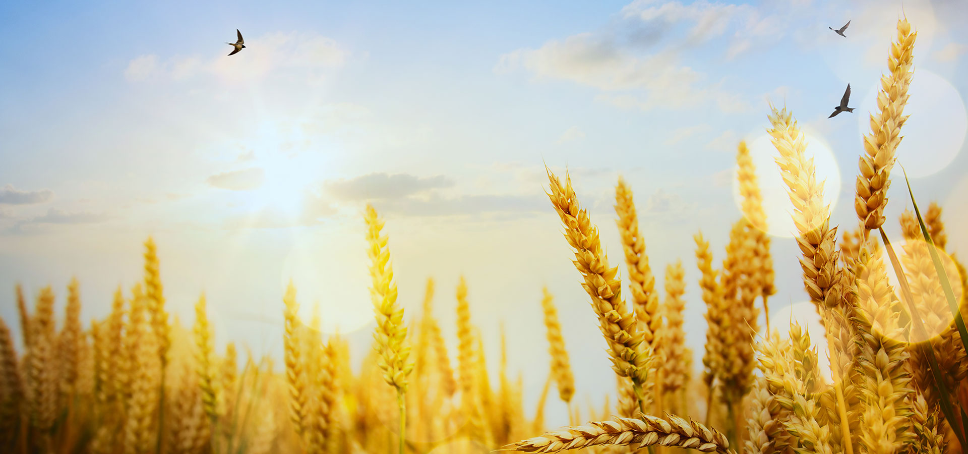 Passive Relaxation meditation for releasing body tension | Meditainment